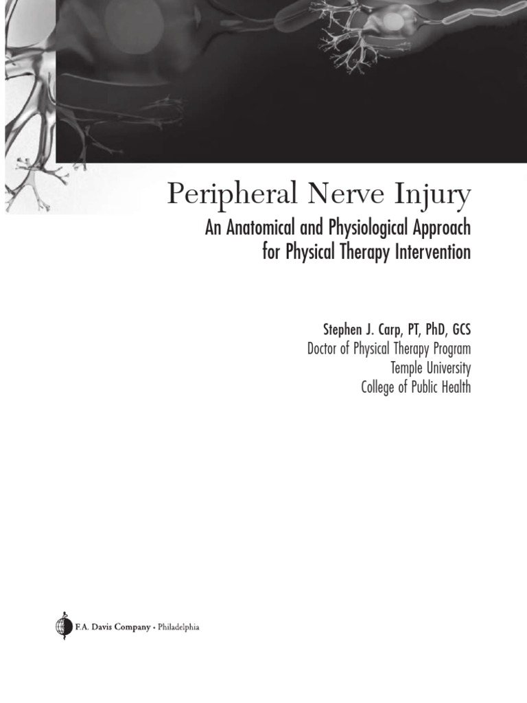Peripheral Nerve Injury Anatomical Pdf Pdf Peripheral Neuropathy