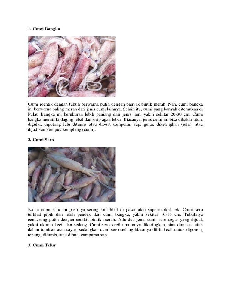 Jenis Cumi Cumi | PDF