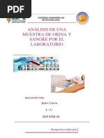 Análisis de la Orina: Aspectos y Color | PDF | Orina | Medicina CLINICA