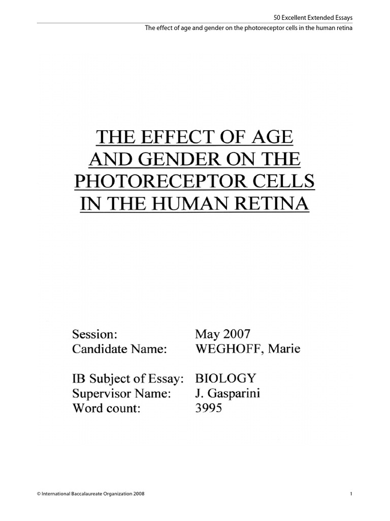 Example Eye EE PDF | PDF | Retina | Human Anatomy