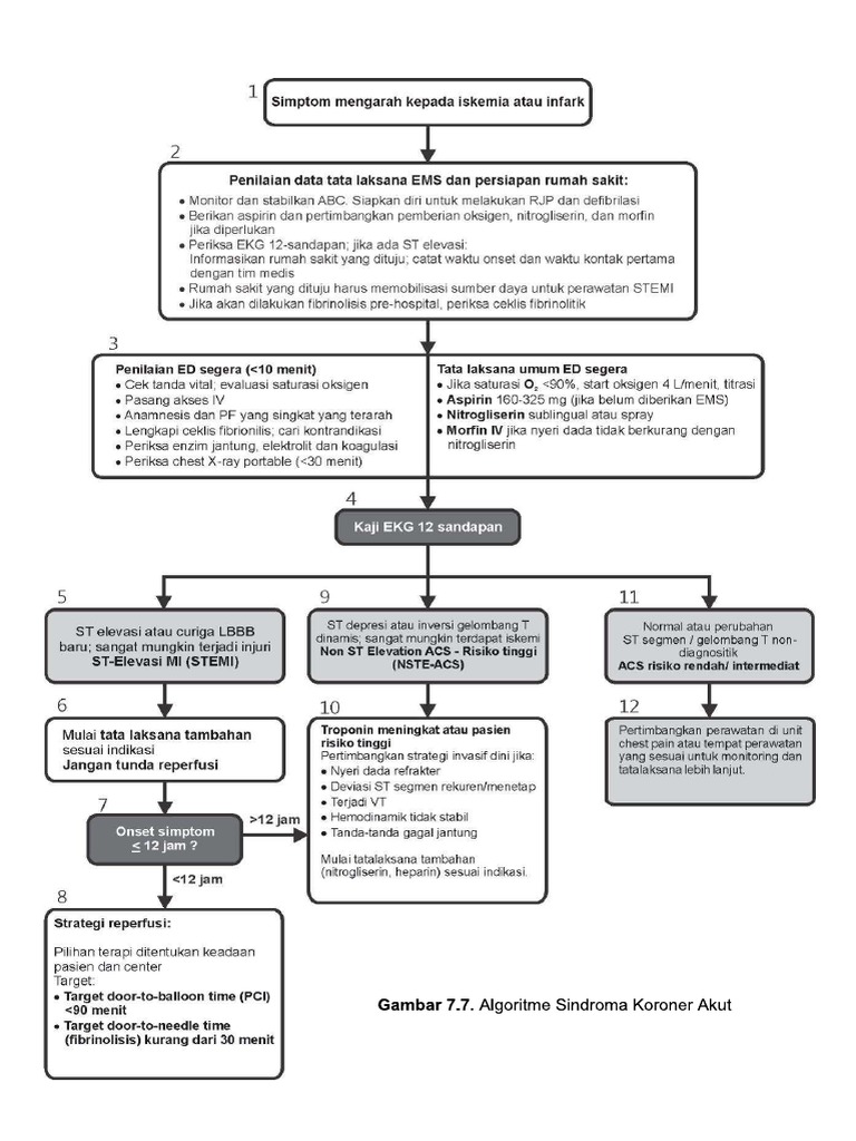 Flow Chart Tatalaksanan ACS PDF | PDF