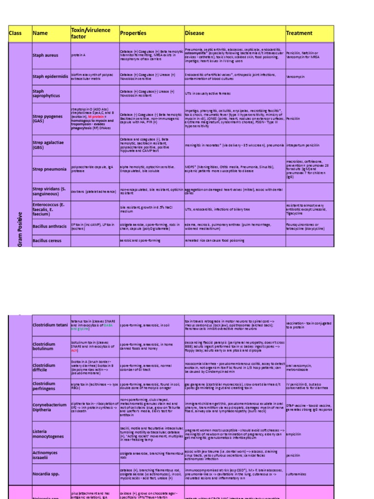 SketchyMicro Chart | PDF | Candidiasis | Salmonella