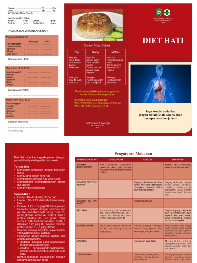 Brosur Diet Hati | PDF
