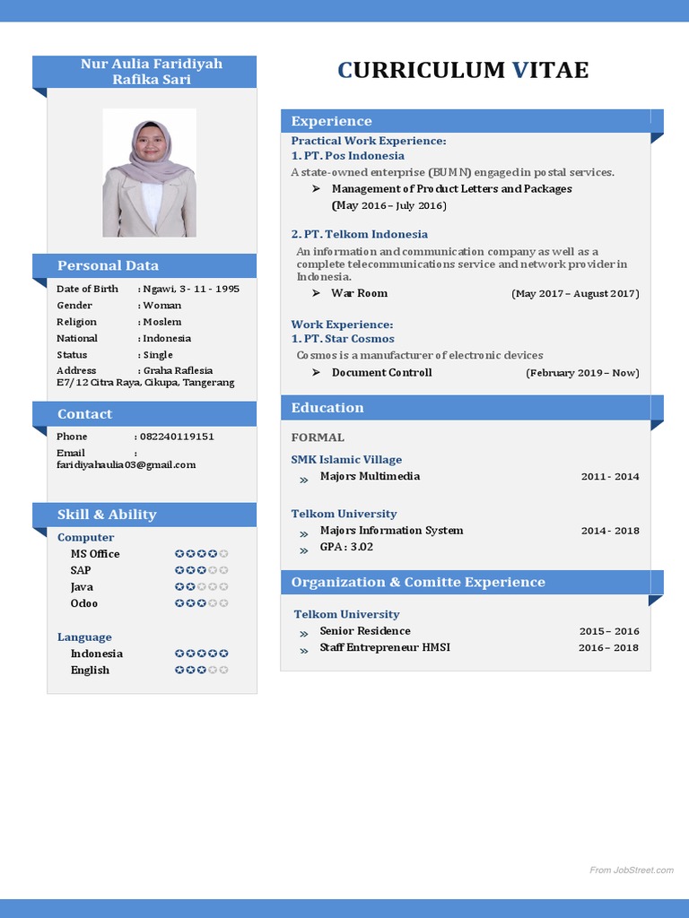CV Nur | PDF
