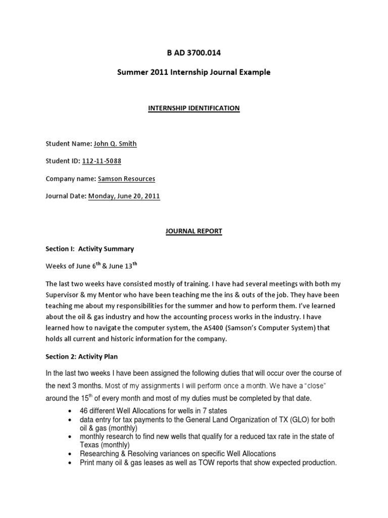 Summer Internship Journal Example | PDF | Business