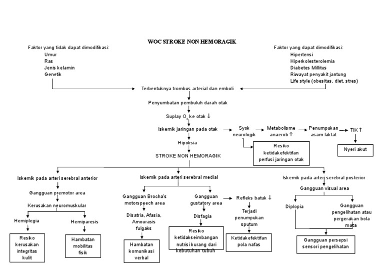Woc Stroke Non Hemoragik | PDF