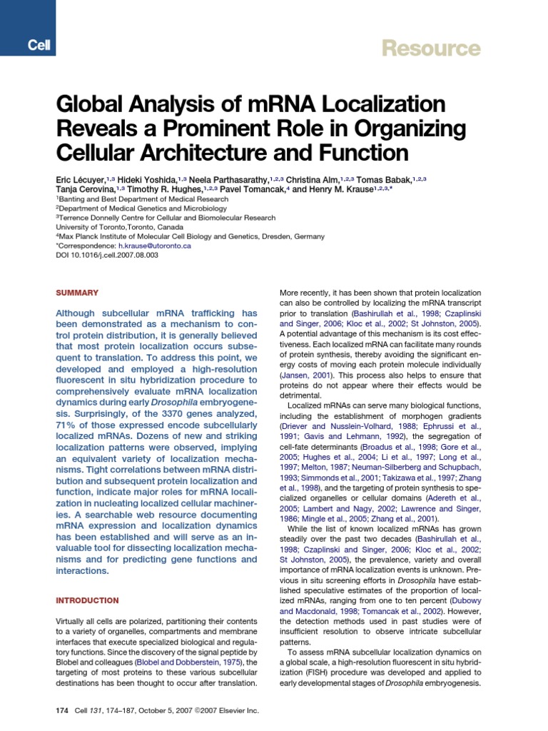 RNA Function | PDF | Cell Nucleus | Messenger Rna