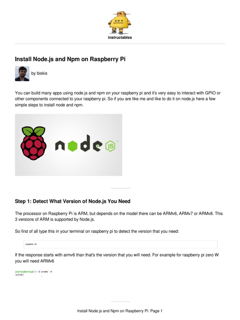 Install Nodejs and NPM On Raspberry Pi | PDF