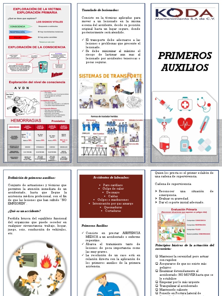 Triptico Basico Primeros Auxilios | PDF | Primeros auxilios | Ciencias de la Salud
