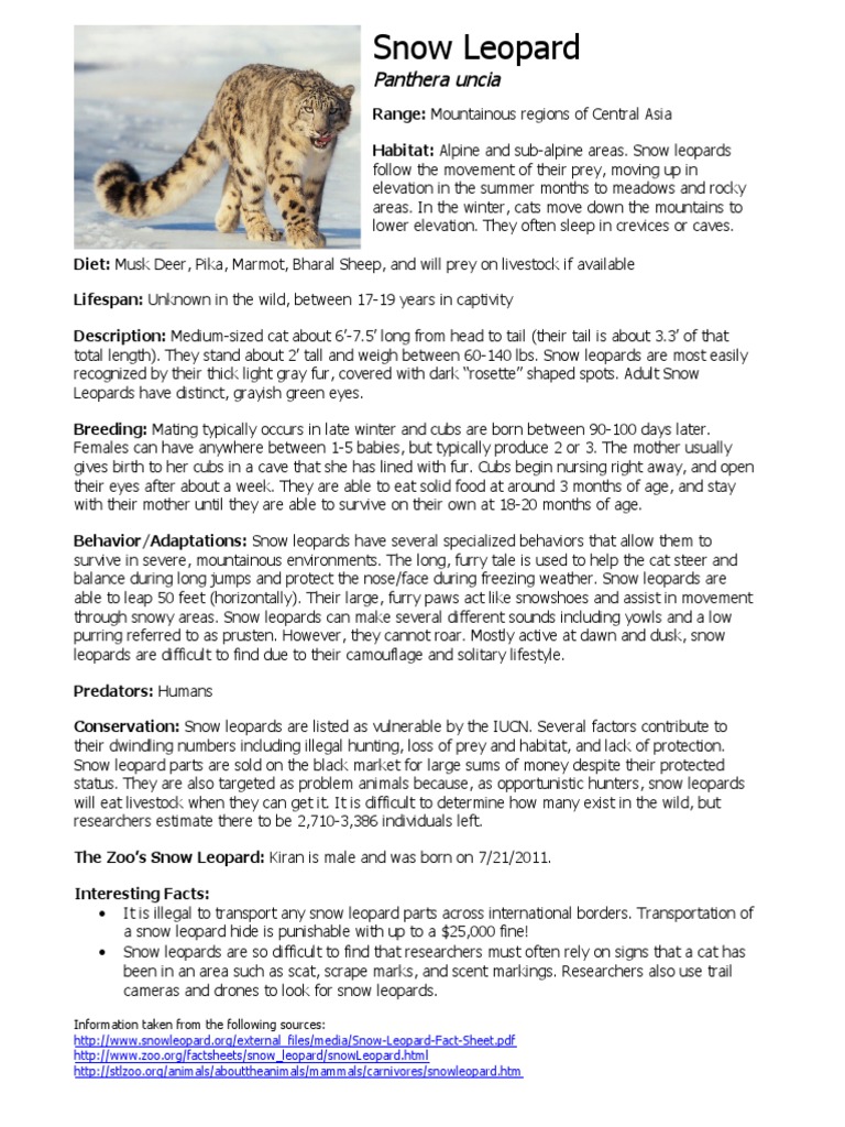 Snow Leopard | PDF | Leopard | Organisms