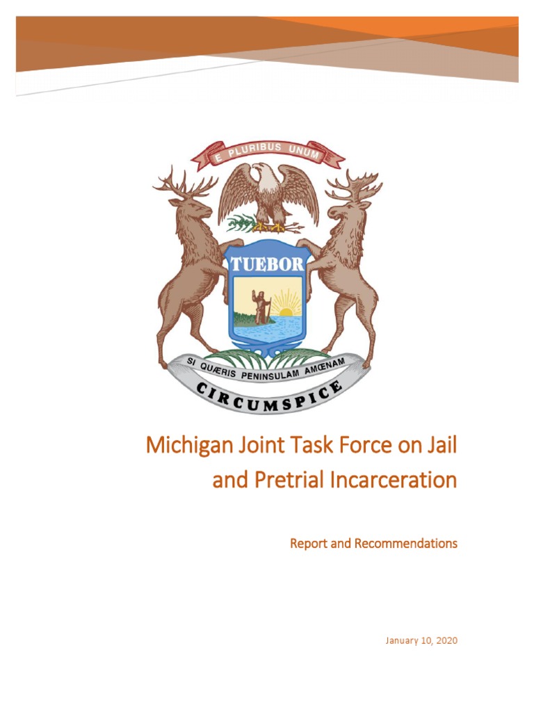 Jails Task Force Final Report and Recommendations | PDF | Prison | Arrest