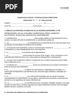 Preguntas de Examenes Quinto Grado Primer Trimestre | PDF