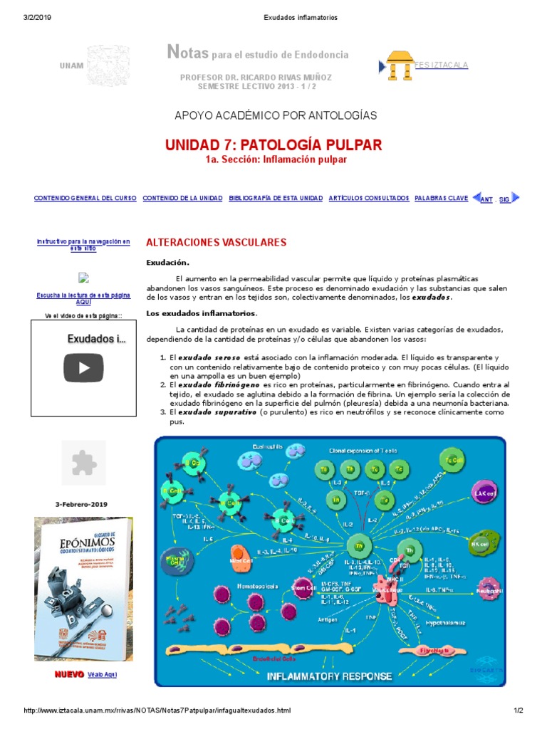 Exudados inflamatorios | Inflamación | Biología Celular