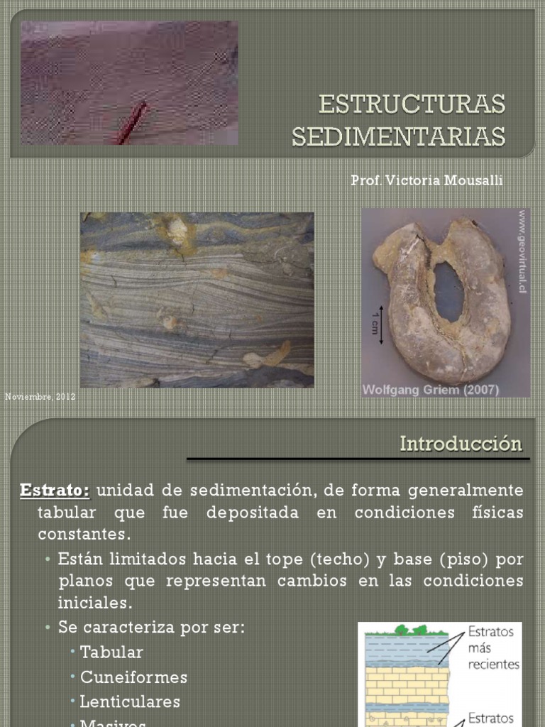 Tema 4. Estructuras Sedimentarias | PDF | Estrato | Estratigrafía