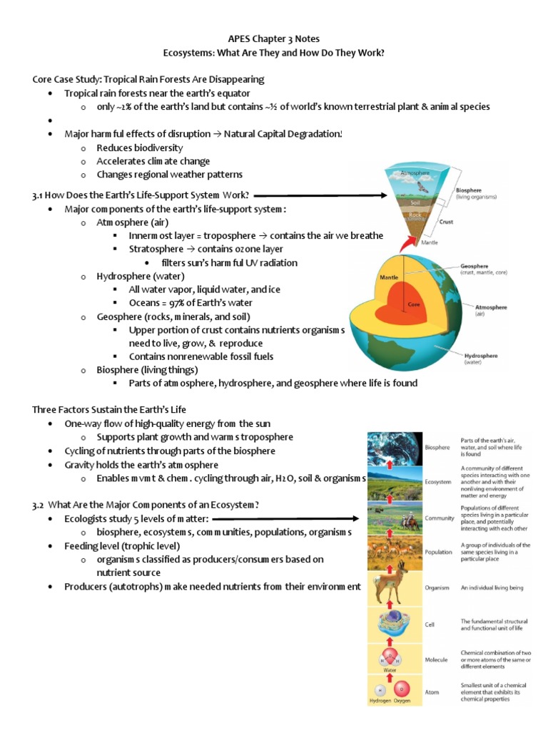 APES Chapter 3 Notes | PDF | Food Web | Ecosystem