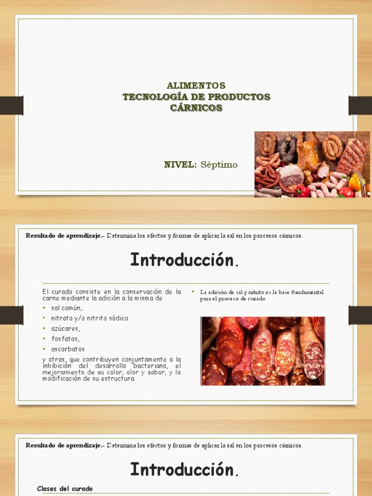 Proceso de Curado y Salazón de Carne | PDF | Curado (Conservación de ...