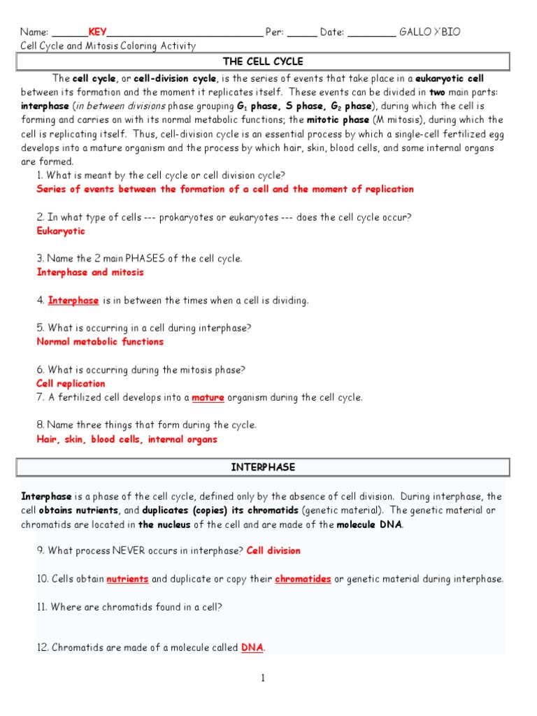 Cell Cycle And Mitosis Coloring Worksheet Answers Db Comprehensive