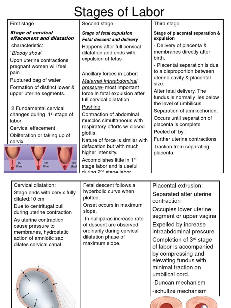 Stages of Labor | PDF | Uterus | Childbirth