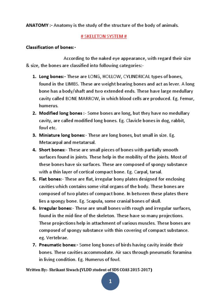 Anatomy 1 | PDF | Vertebra | Skull