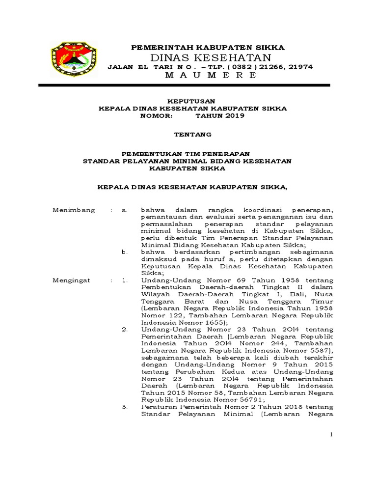 SK Tim Penerapan SPM Bidang Kesehatan | PDF