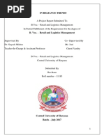 Sample Constitution For A Community Group | PDF | Committee | Government