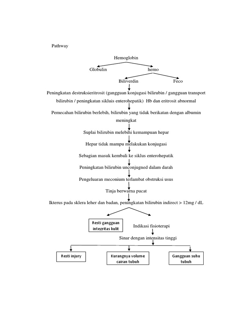 PATHWAY Hiperbilirubin | PDF