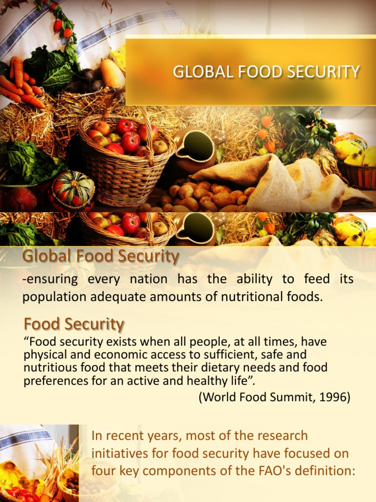 Global Food Security | PDF | Food Security | Hunger
