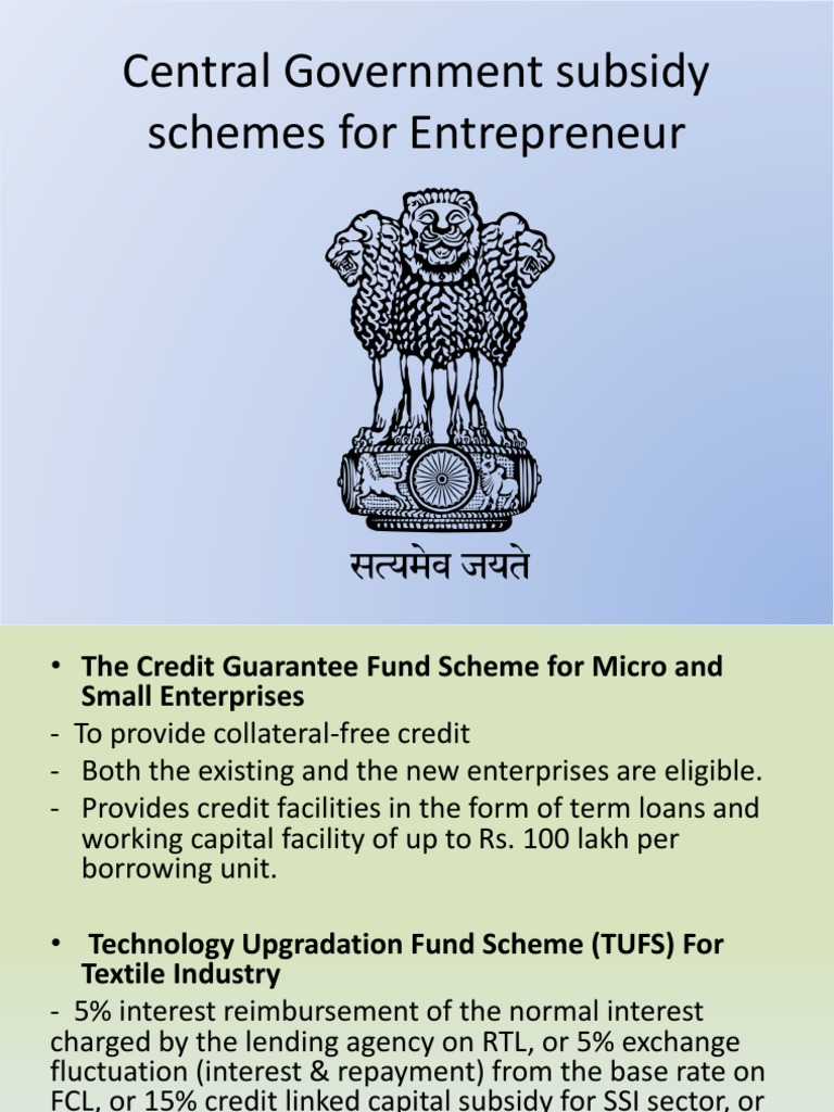 Central Government Subsidy Schemes For Entrepreneur | PDF | Subsidy ...