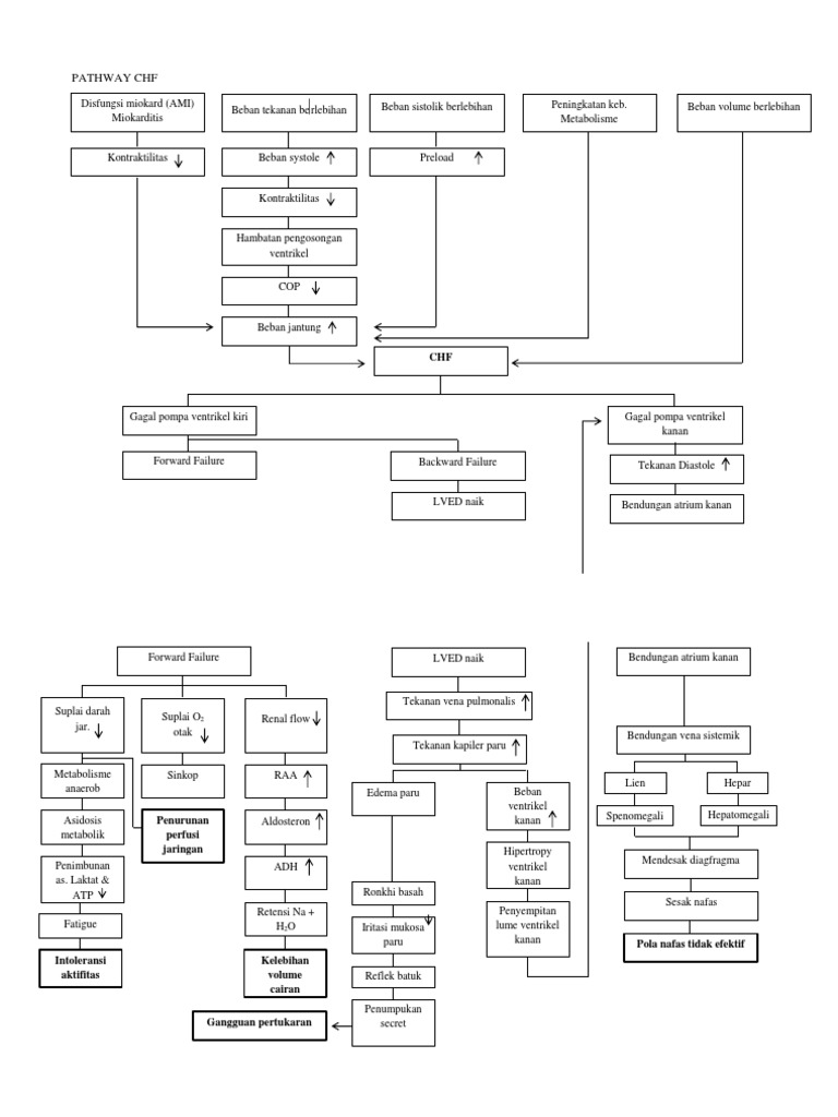 Pathway of Congestive Heart Failure | PDF | Physiology | Internal Medicine