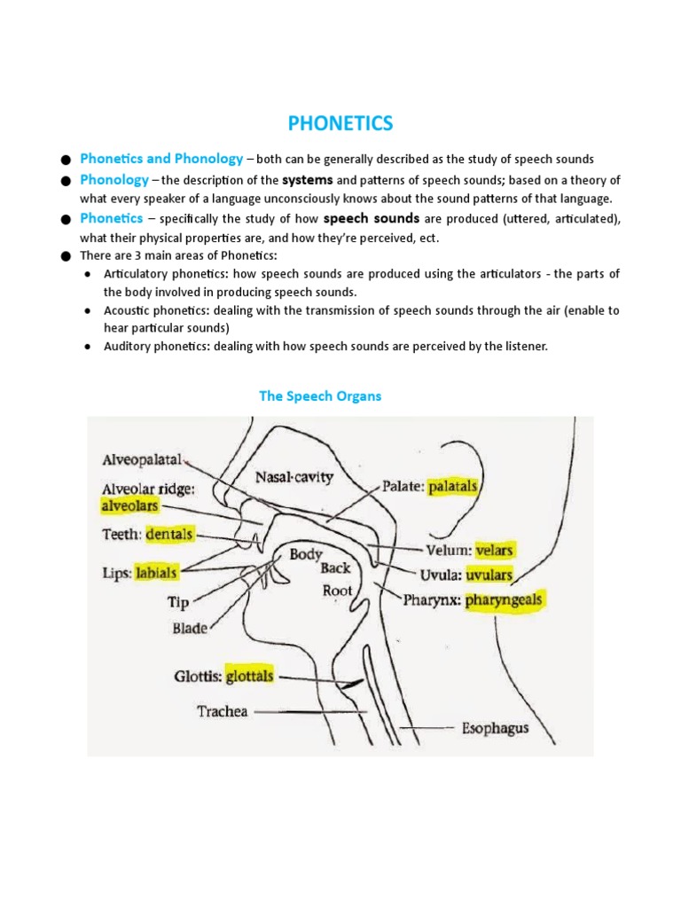 Phonetics | PDF | Phonetics | Speech