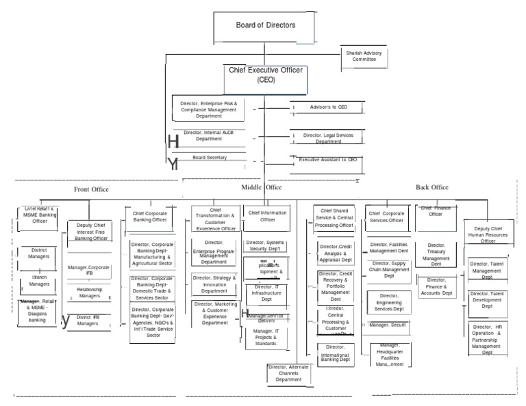 Dashen Bank Structure | PDF | Chief Executive Officer | Board Of Directors