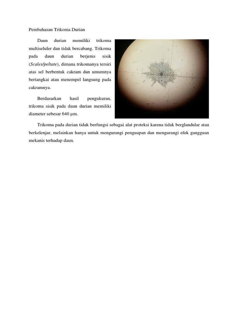 Pembahasan Trikoma Durian | PDF