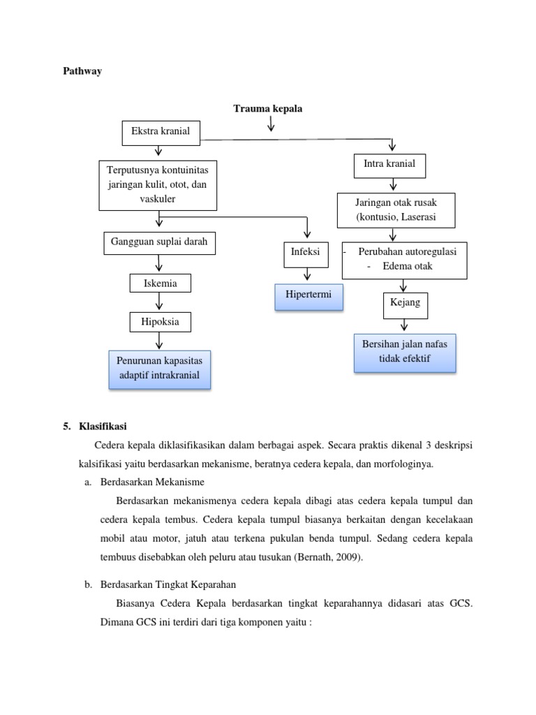 Pathway TBI | PDF