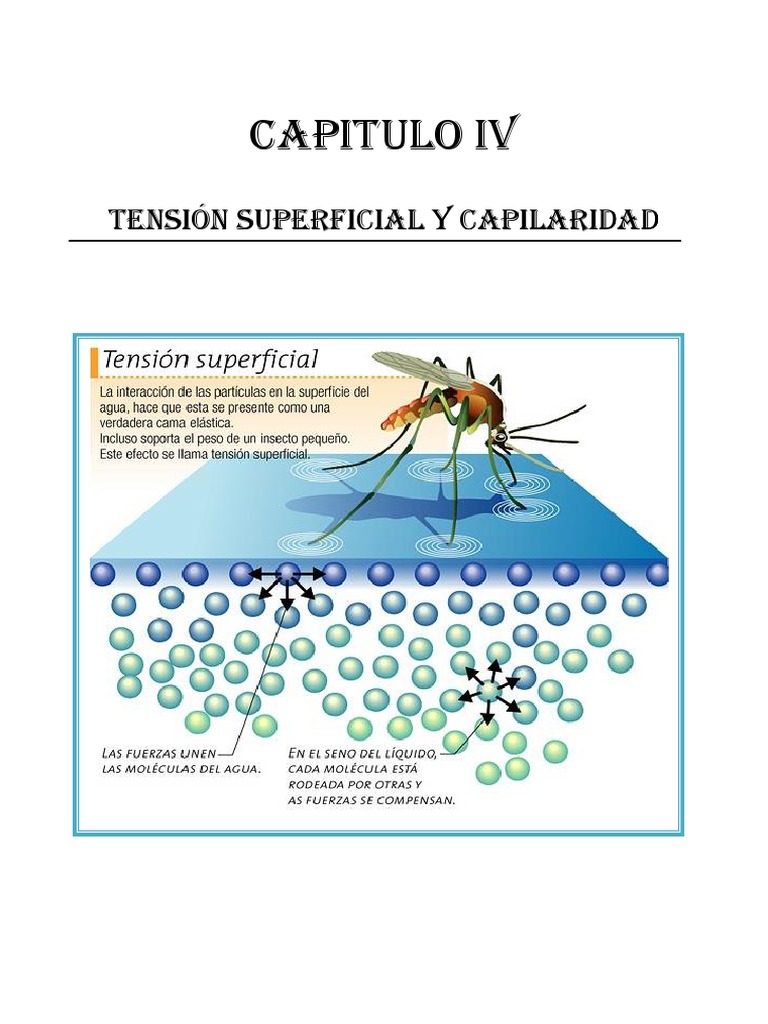 Tensión Superficial y Capilaridad en Física | PDF | Tensión superficial ...