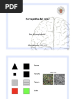 Defectos y Teorías de la Visión Cromática | PDF | Color | Percepción visual