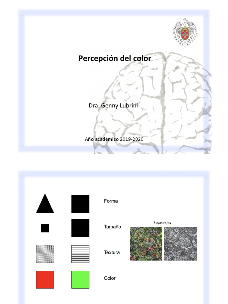 Tema 7 - Percepción Del Color | PDF | Azul | Color