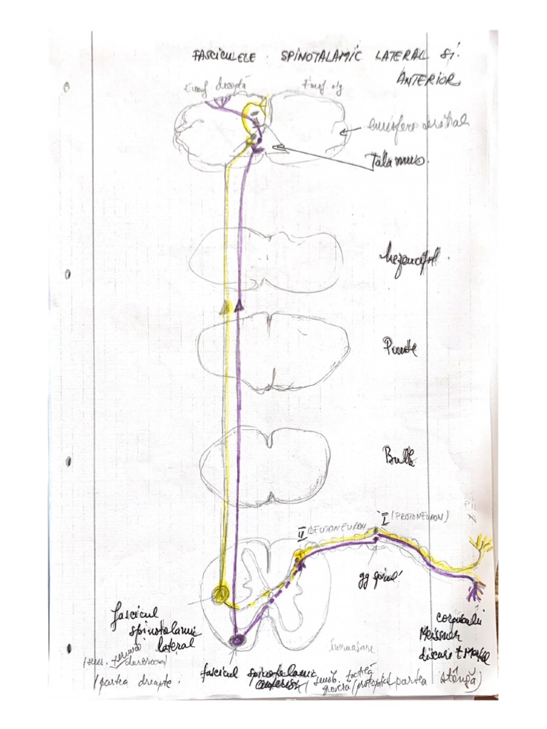 Fascicule Ascendente | PDF
