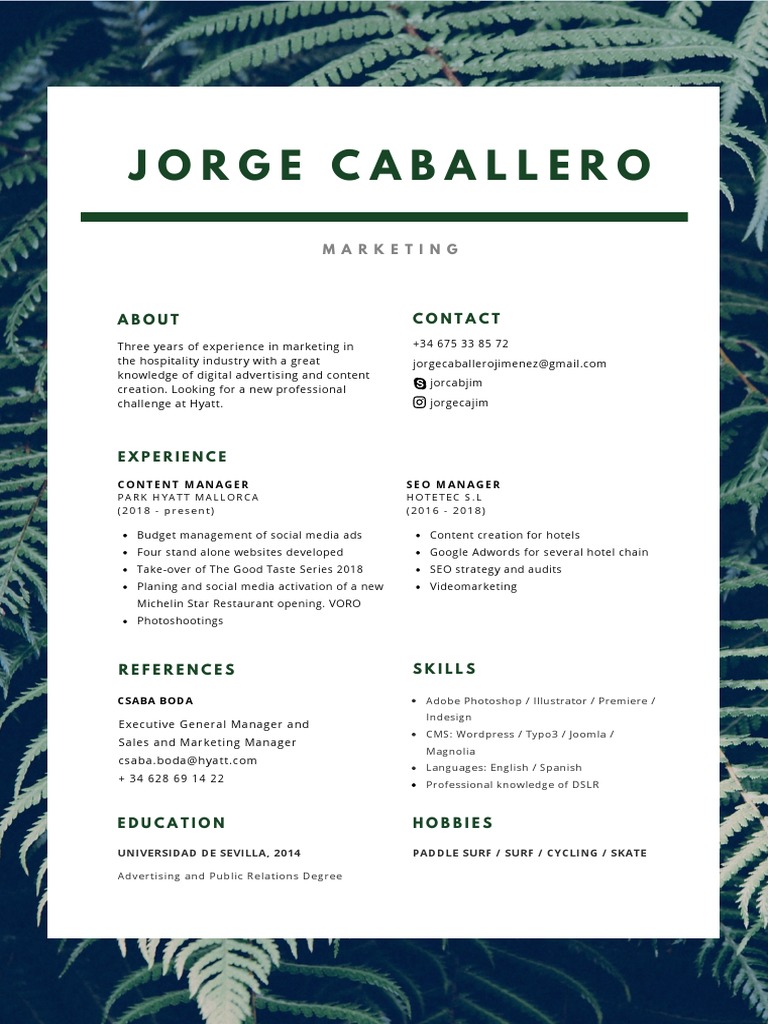 CV Jorge Caballero-1 | PDF
