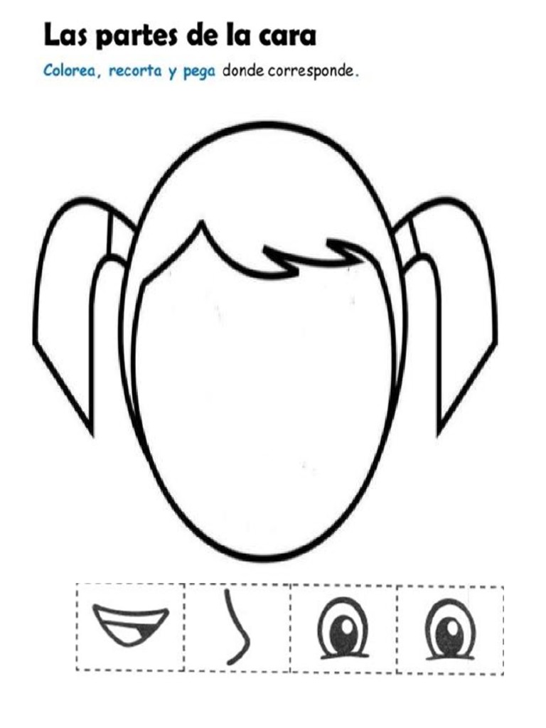 Partes De La Cara Para Imprimir