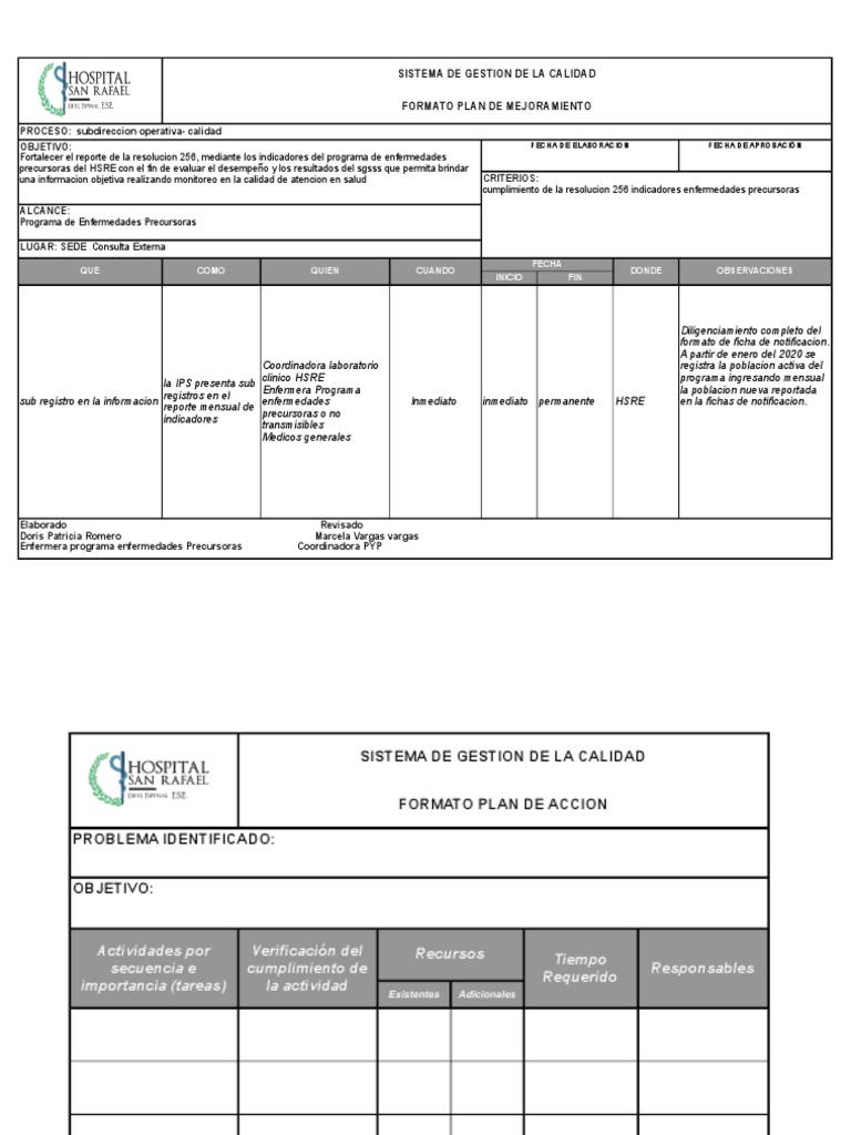 FORMATOS Plan de Mejoramiento | PDF | Sistema de manejo de calidad | Microsoft Excel