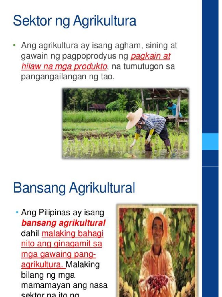 Sektor NG Agrikultura | PDF