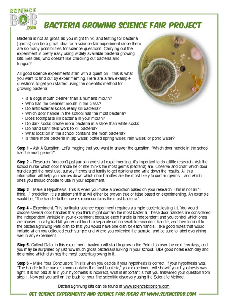 Bacteria Testing Science Fair Ideas | PDF | Experiment | Hypothesis