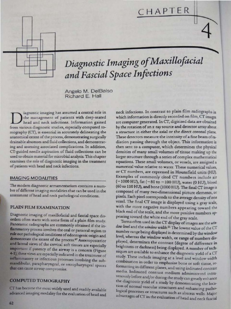 Bab 4 Topazian, Oral and Maxillofacial Infection PDF | PDF | Human Head ...