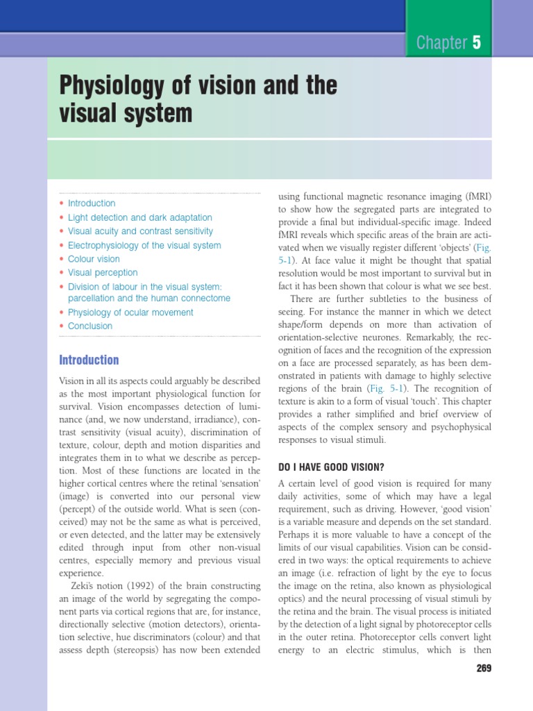 Physiology of Vision PDF | PDF | Visual Cortex | Visual System