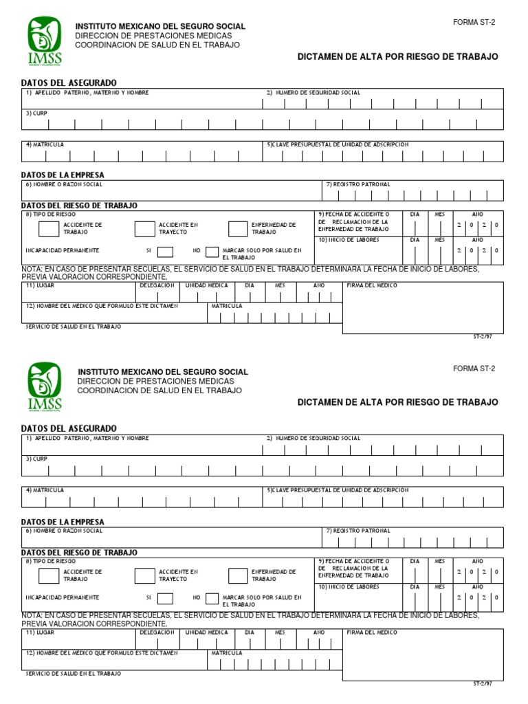 St 2 Formato Pdf Bienestar Medicina