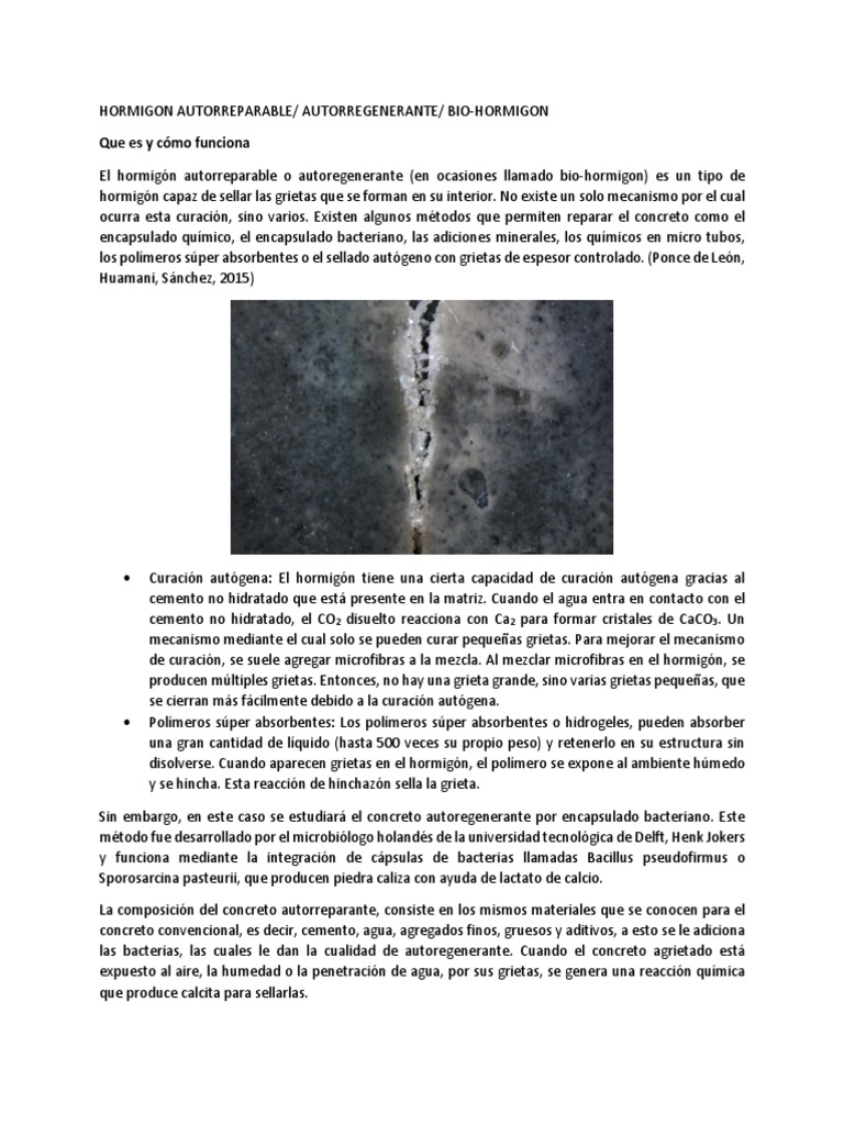 Hormigón Autorreparable con Bacterias | PDF | Las bacterias | Hormigón