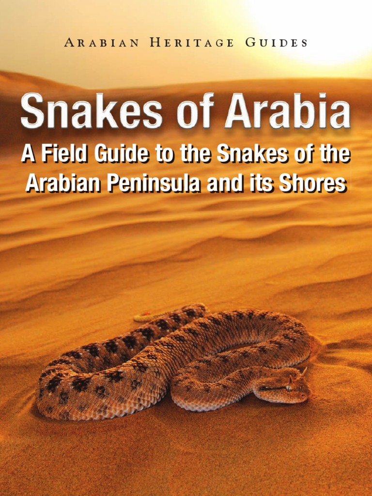Snakes of Arabia | Desert | Snake