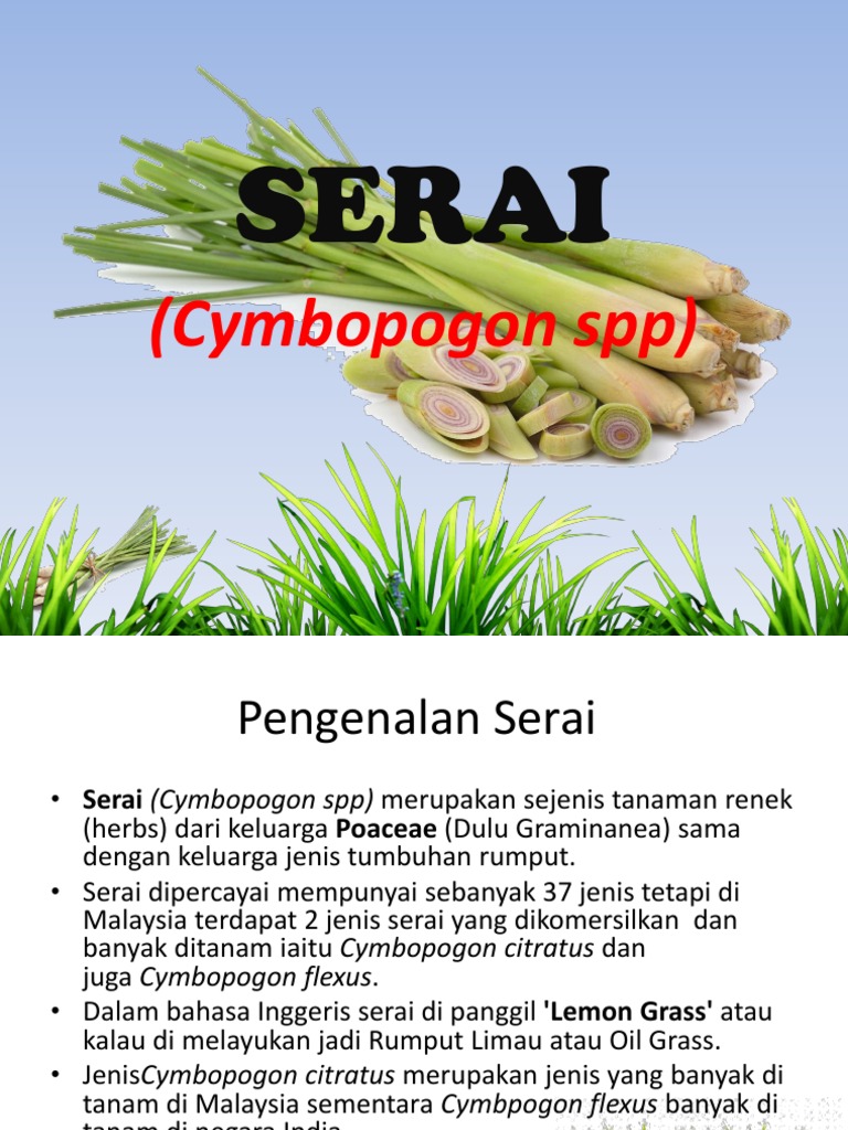 SERAI | PDF