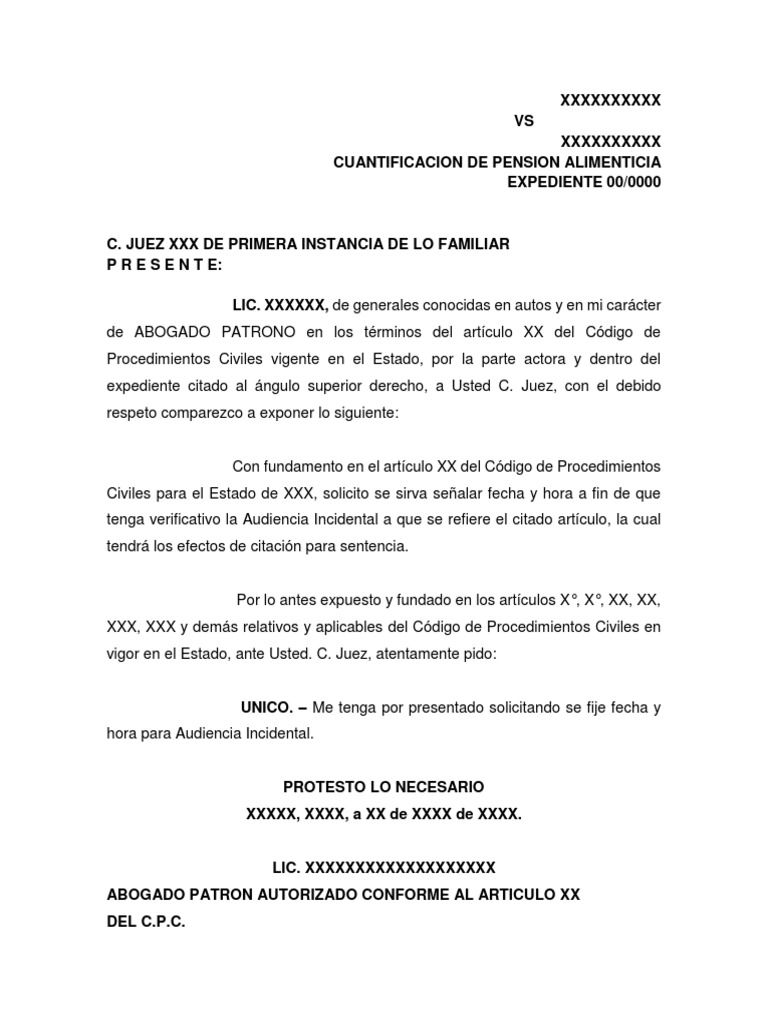 Solicitud Audiencia Incidental | PDF
