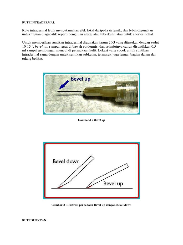 Panduan Rute Injeksi: Intradermal, Subkutan, IM | PDF | Kesehatan ...